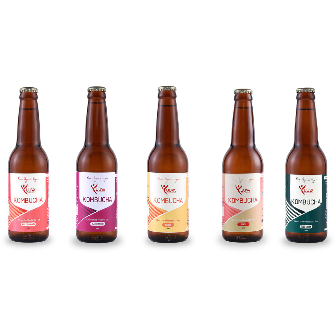 Kombucha Trial pack ( 5 x 330 ml) – Indian Kefir Company